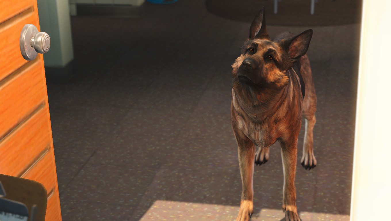 Mod Fallout 4 Ini Memungkinkan Anda Bisa Bermain Sebagai Dogmeat ...