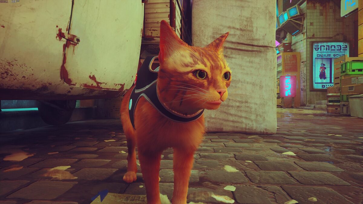 Modder Game Stray Buka Jasa Pembuatan Mod untuk Penggemar Meng Oyen ...
