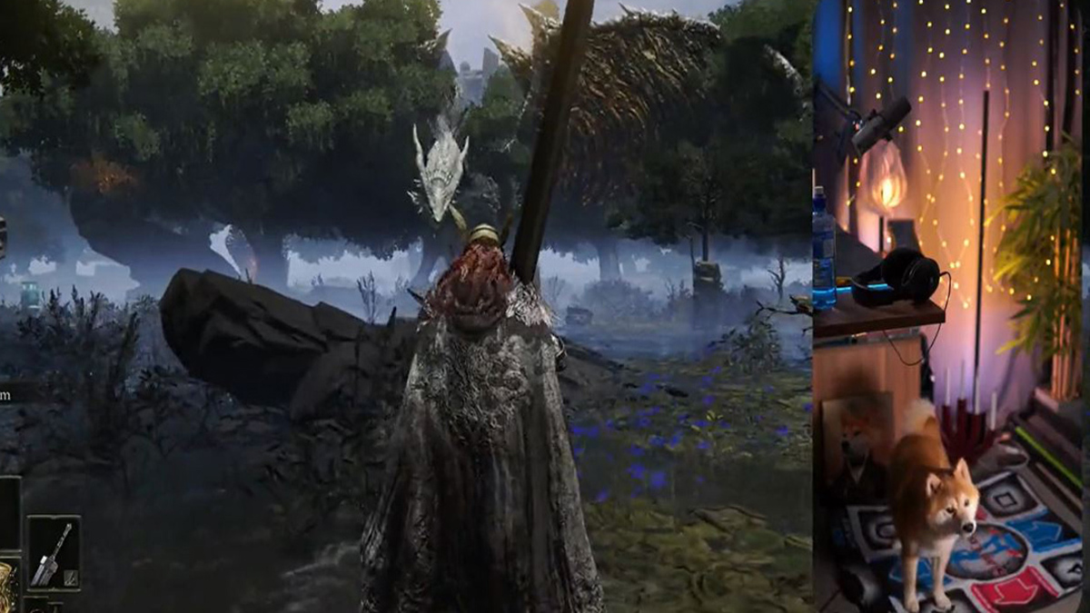 Anjing Lucu Menjadi Pahlawan Dadakan Streamer MissMikkaa Elden Ring ...