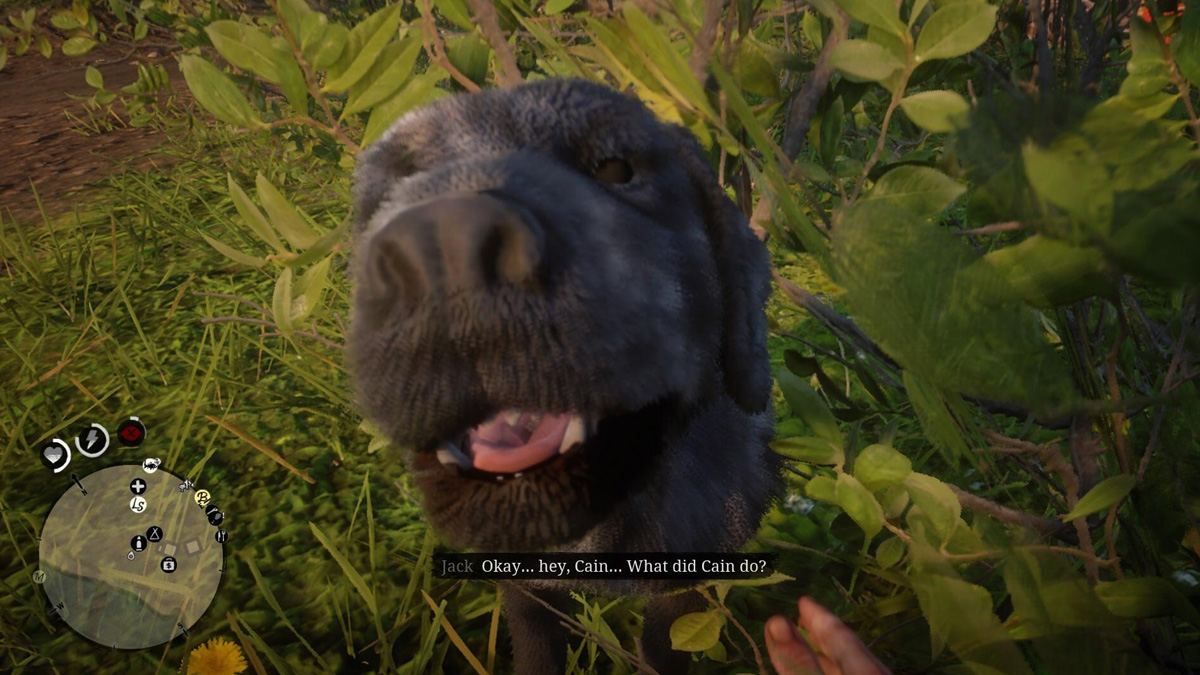 Einstein, Model Anjing Cain Red Dead Redemption 2 Tutup Usia