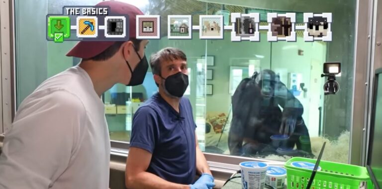 YouTuber ChrisDaCow Ajarkan Seekor Monyet untuk Main Minecraft ...