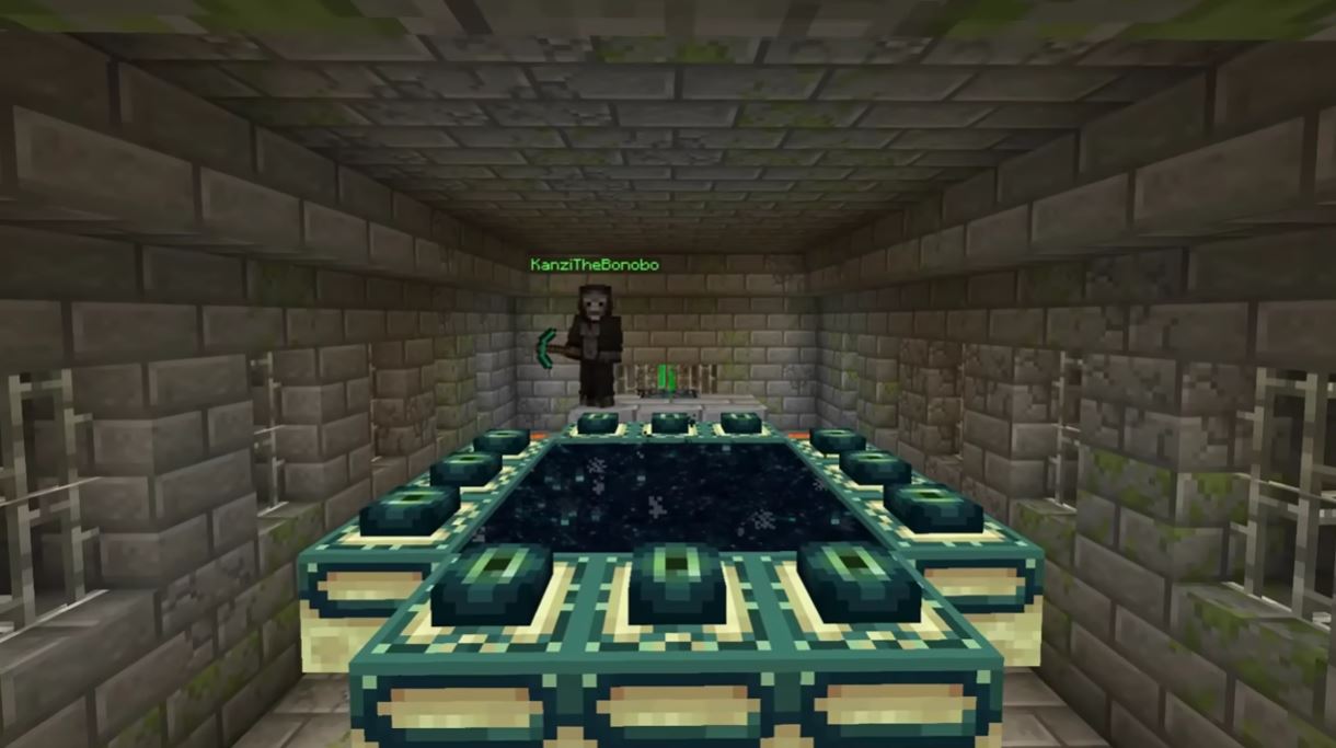 YouTuber ChrisDaCow Ajarkan Seekor Monyet untuk Main Minecraft! - Gamebrott.com