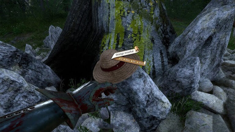 Cara Menemukan Topi Jerami Luffy di Kingdom Come Deliverance 2